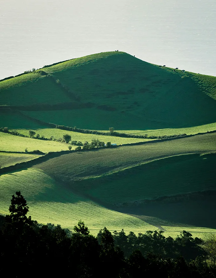 Lemar, textile portugais innovant et durable depuis 1939