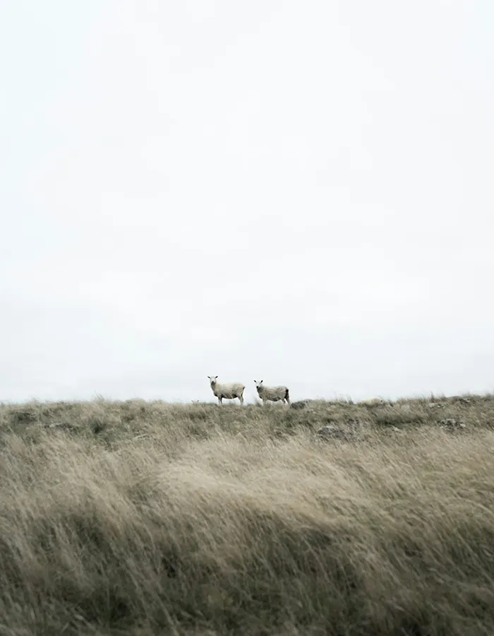 Lanificio Comatex : le tissu haut de gamme de Prato